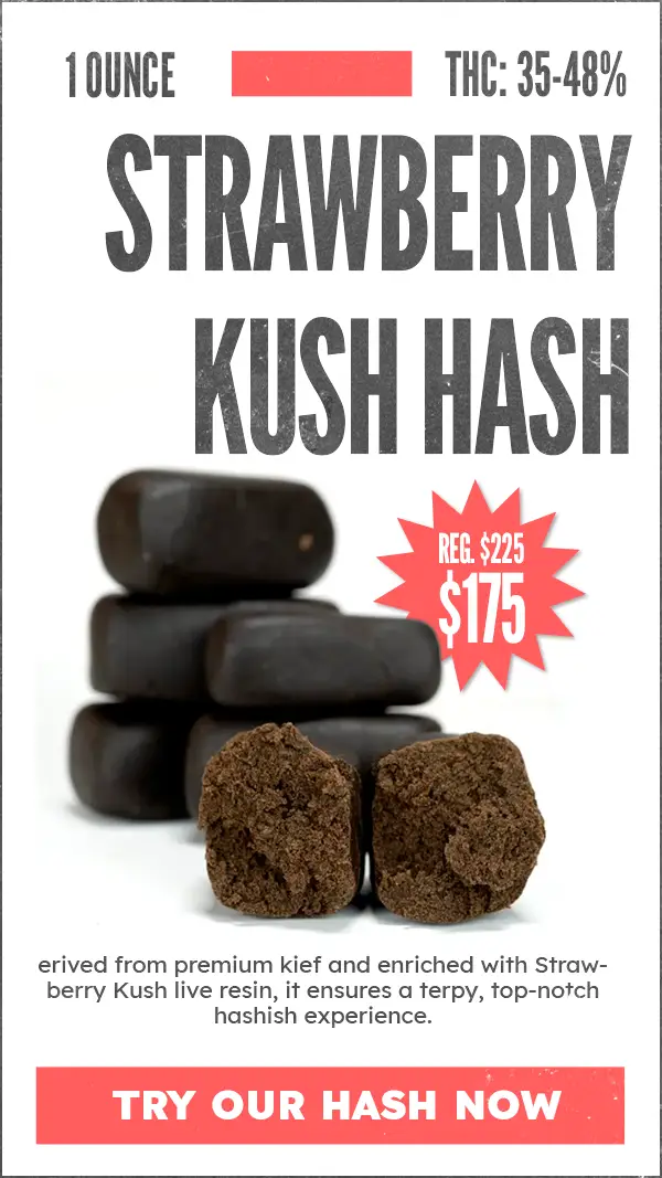 #1 Low Price Buds | Best Value for Budget Buds | Weed Deals