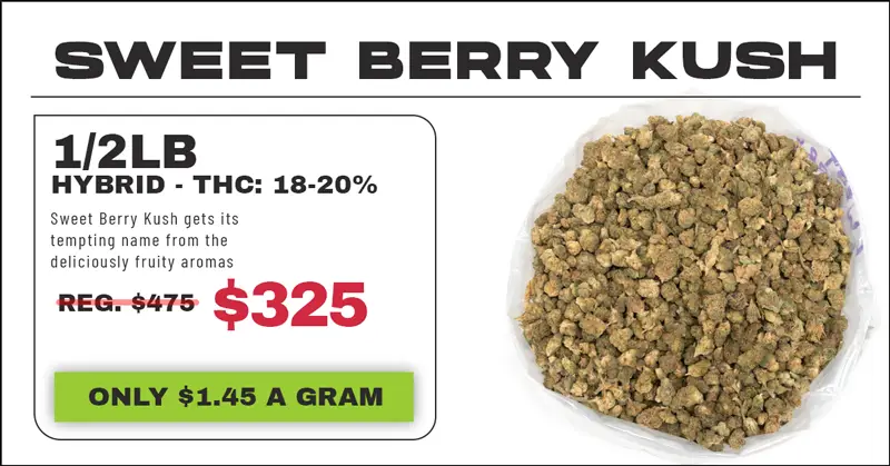 #1 Low Price Buds | Best Value for Budget Buds | Weed Deals